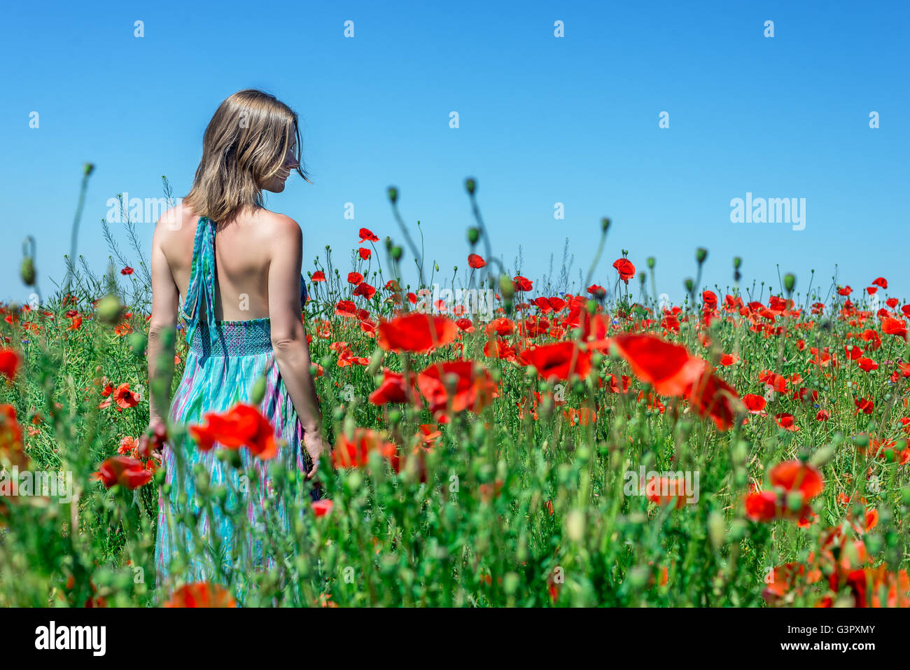 Girl stands in poppy field Stock Photo - Alamy