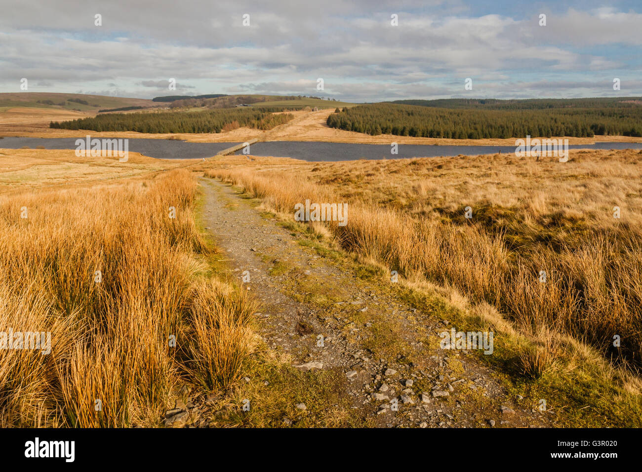 Bleak upland moors hi-res stock photography and images - Alamy