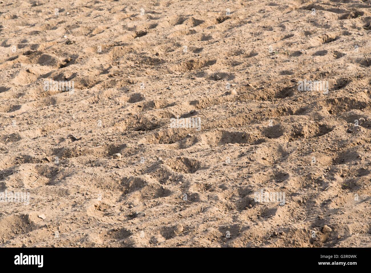 Sand background. Natural background Stock Photo - Alamy