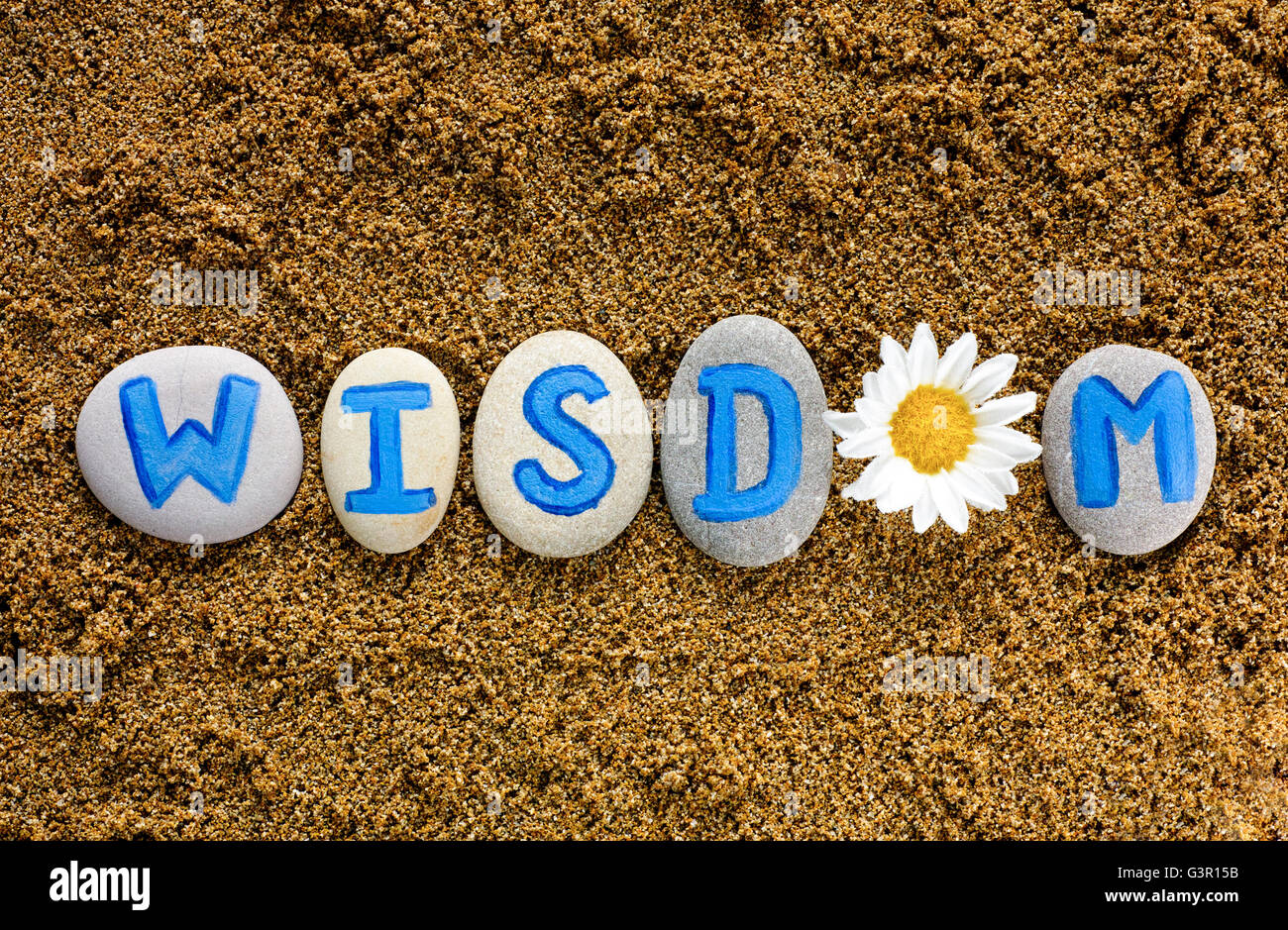 Word Wisdom spell out from stones with letters and flower on sea sand ...