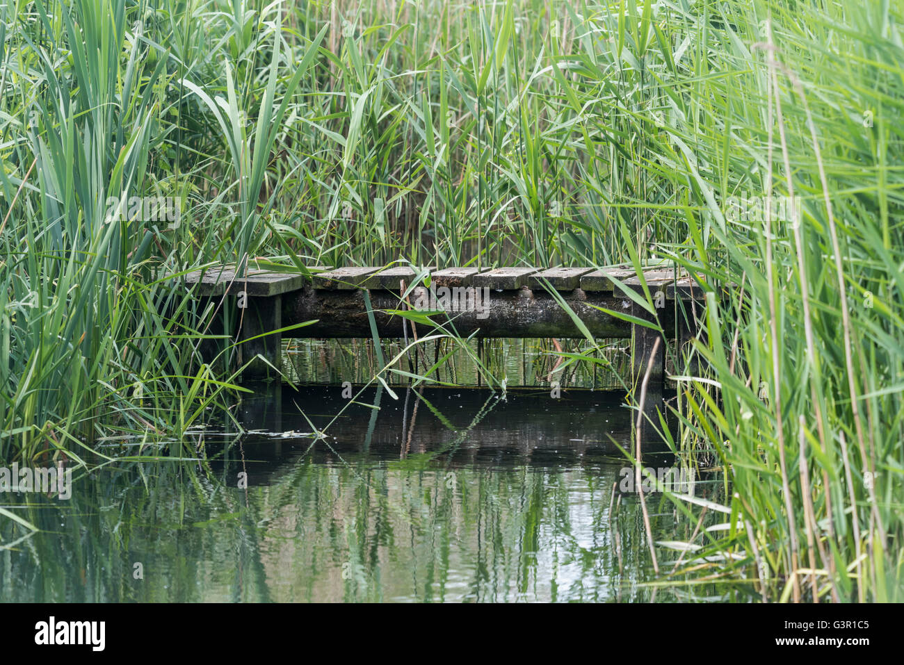 Bridge over a ditch hi-res stock photography and images - Alamy