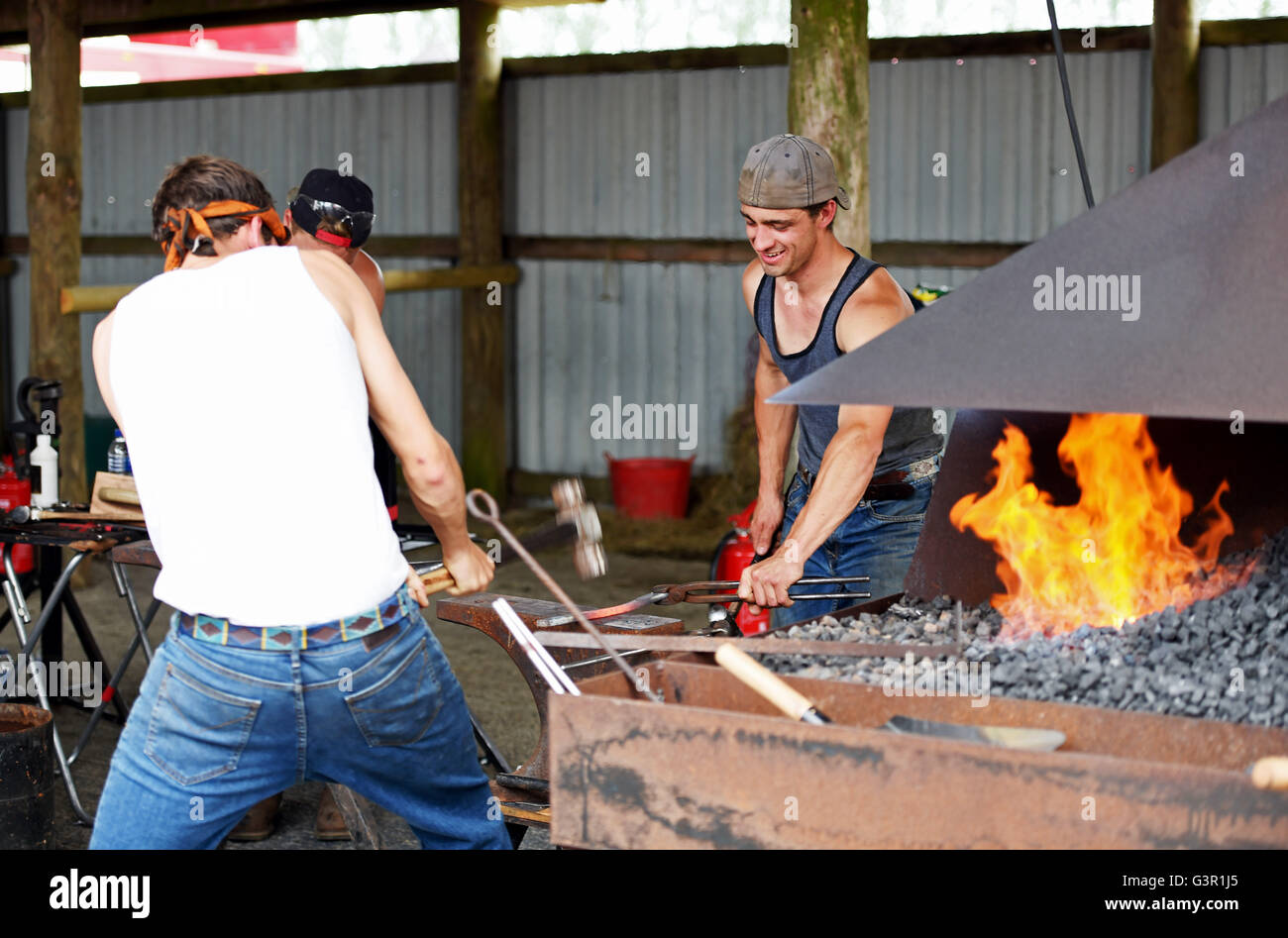 Farriers hi-res stock photography and images - Alamy