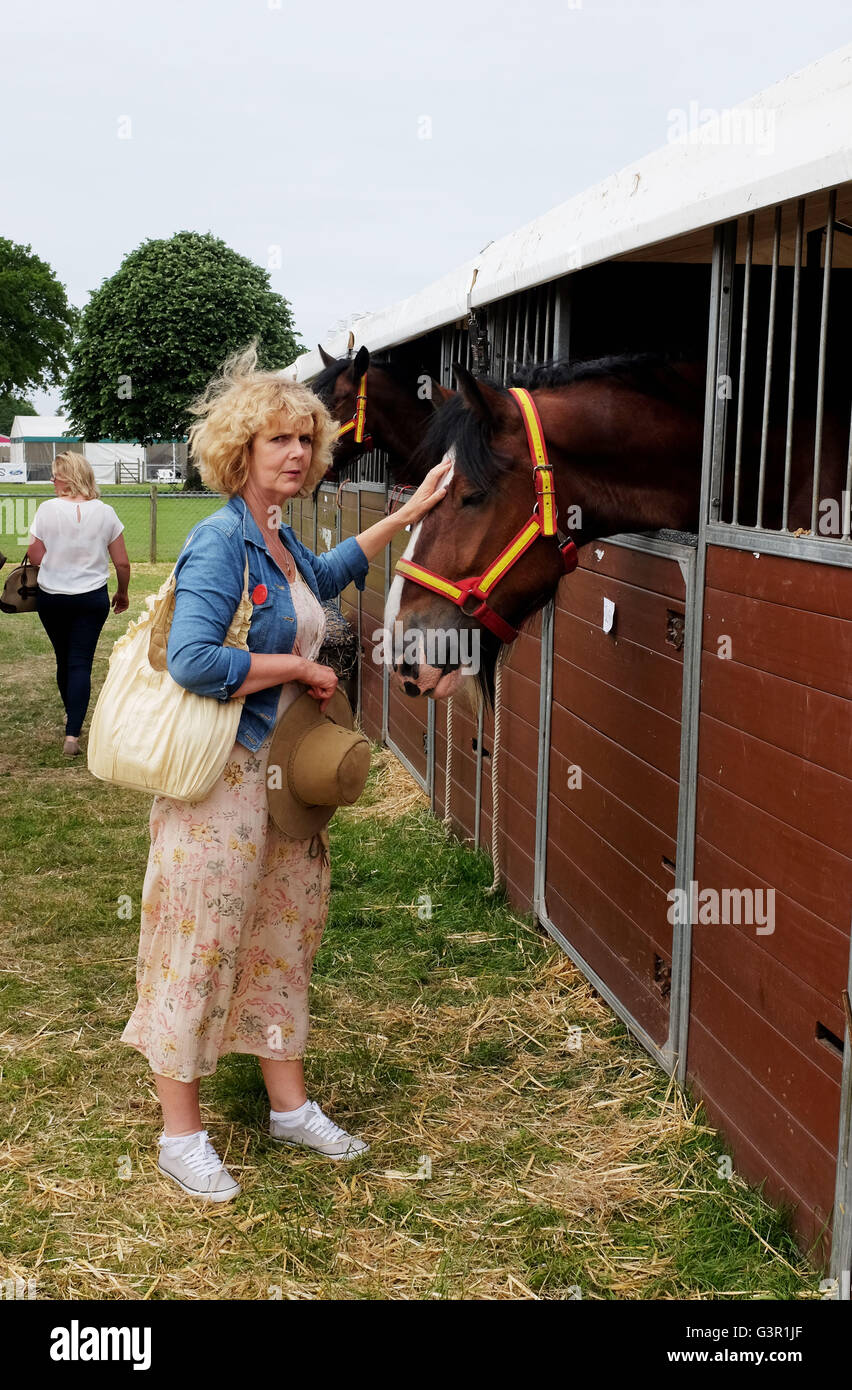 Woman in stables hi-res stock photography and images - Alamy