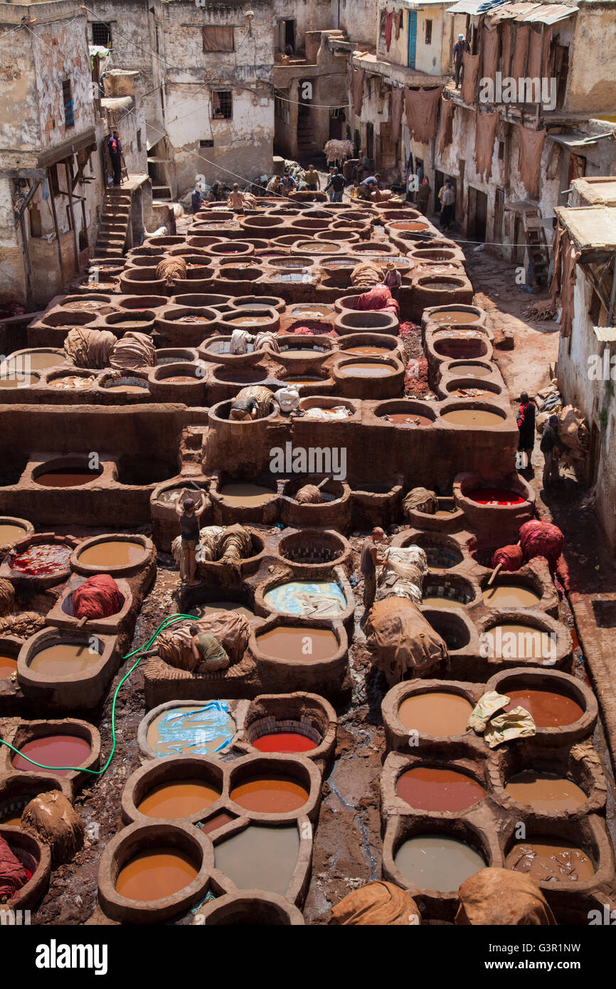 Leather tannery in Fez ( Fes Fas ) city medina, UNESCO heritage site in ...
