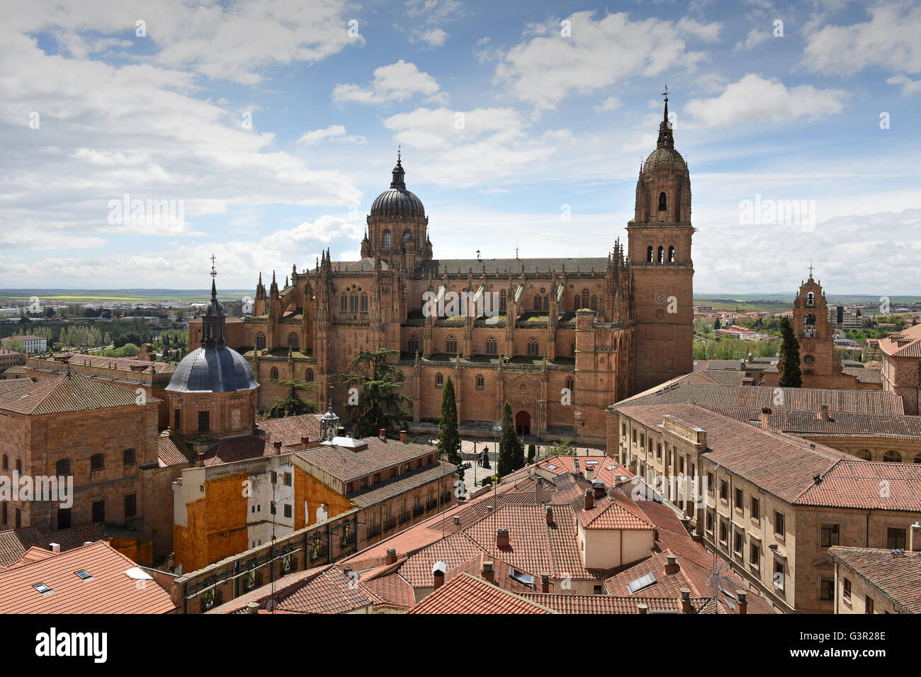 Salamanca Cathedral in northwestern Spain Stock Photo - Alamy