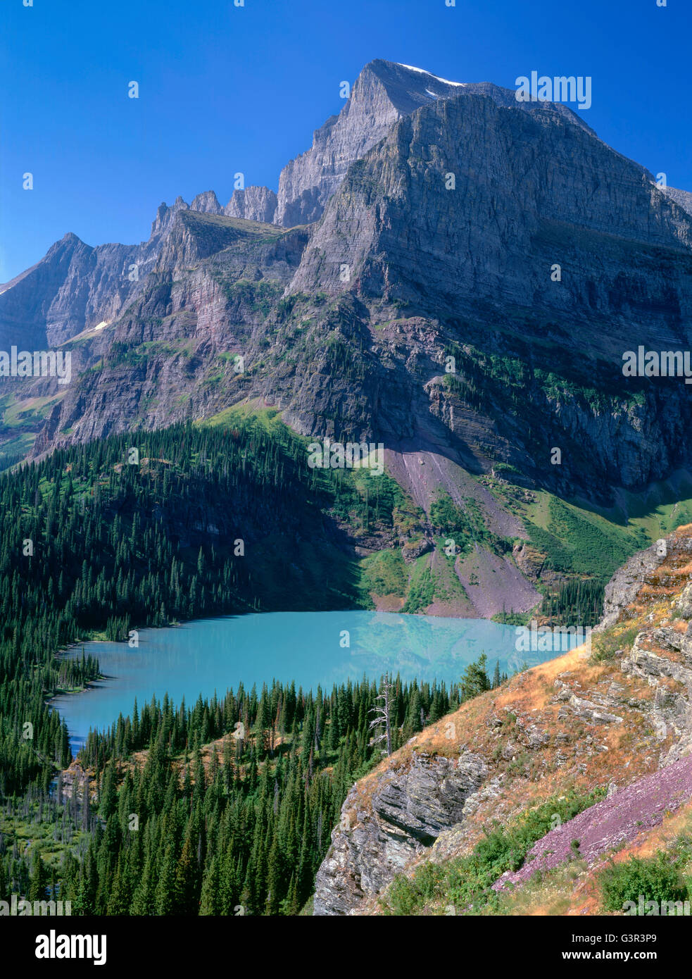 Grinnell glacier glacier national park hi-res stock photography and ...