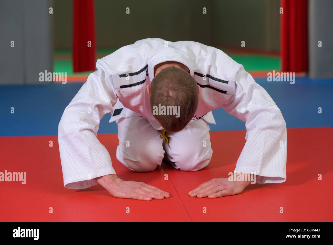 Martial artist bowing before a match Stock Photo - Alamy