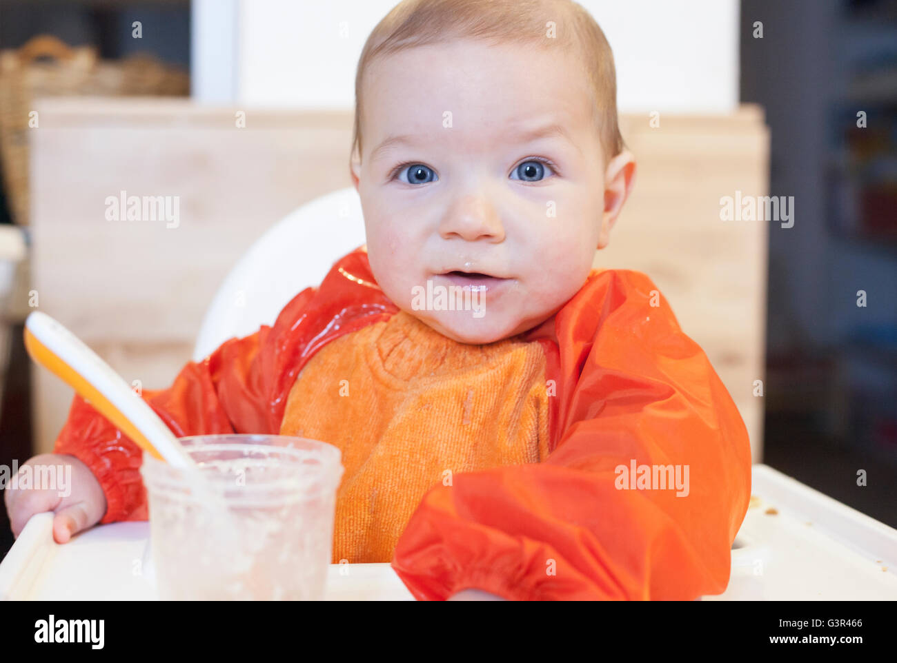 8 month baby boy having his cereal mush. He is wearing an orange bib ...