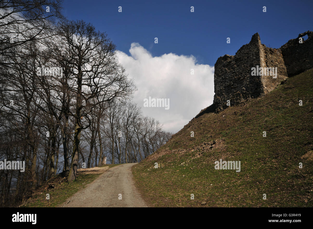 Saris velky hi-res stock photography and images - Alamy