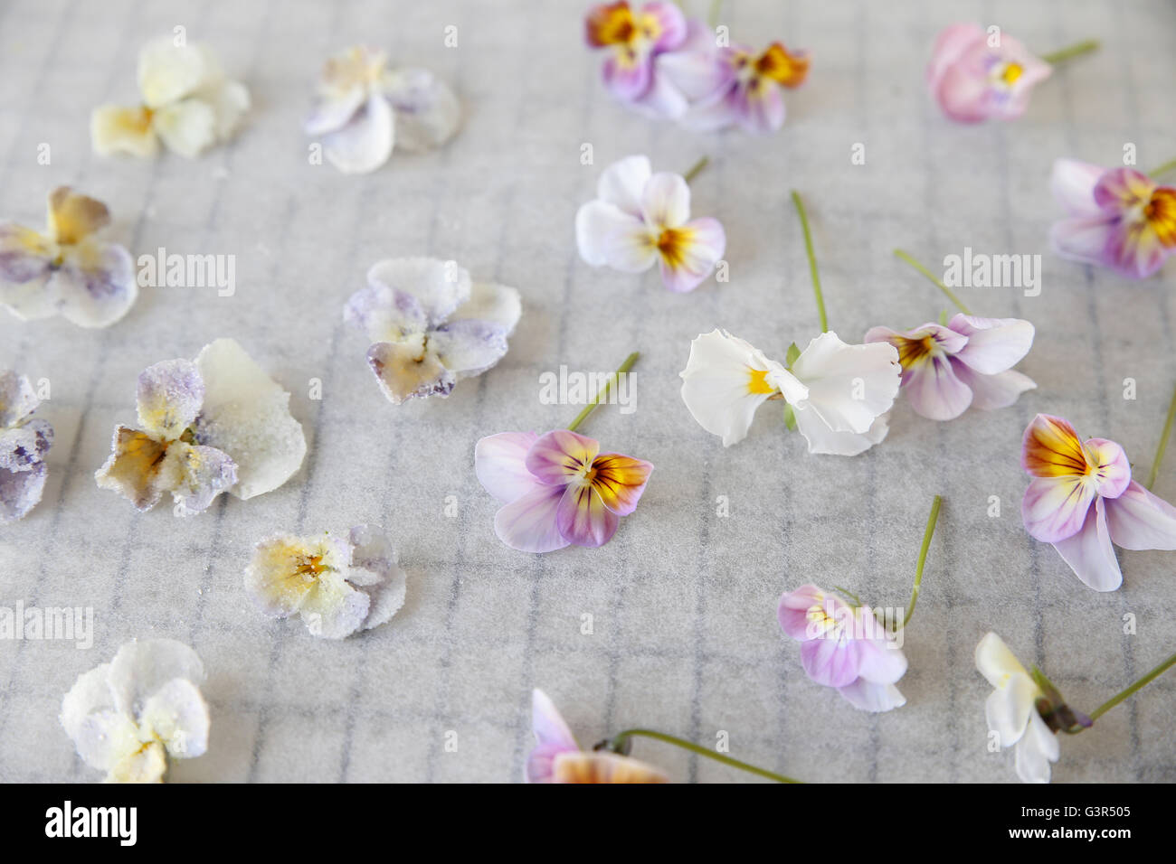 Crystallized and fresh edible flowers on parchment paper Stock Photo ...