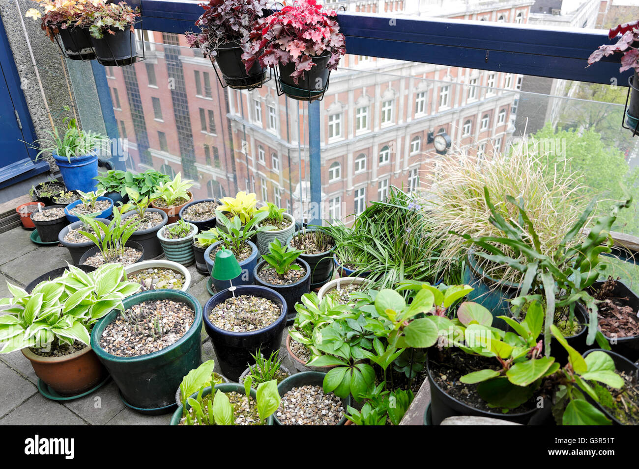 Balcony Plants Uk High Resolution Stock Photography and Images - Alamy