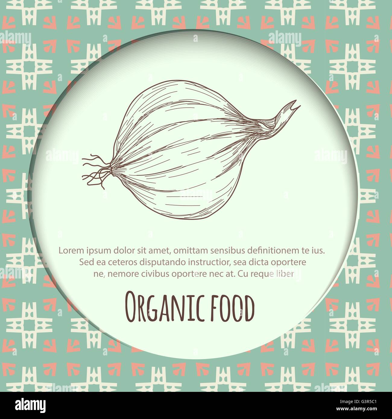 Hand drawn onion over white background Stock Vector Image & Art - Alamy