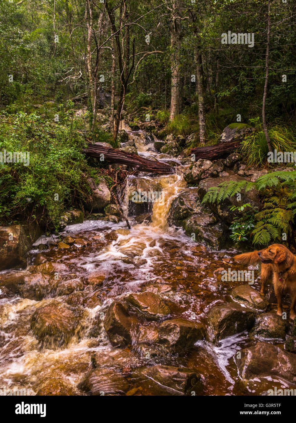 Flows format hi-res stock photography and images - Alamy