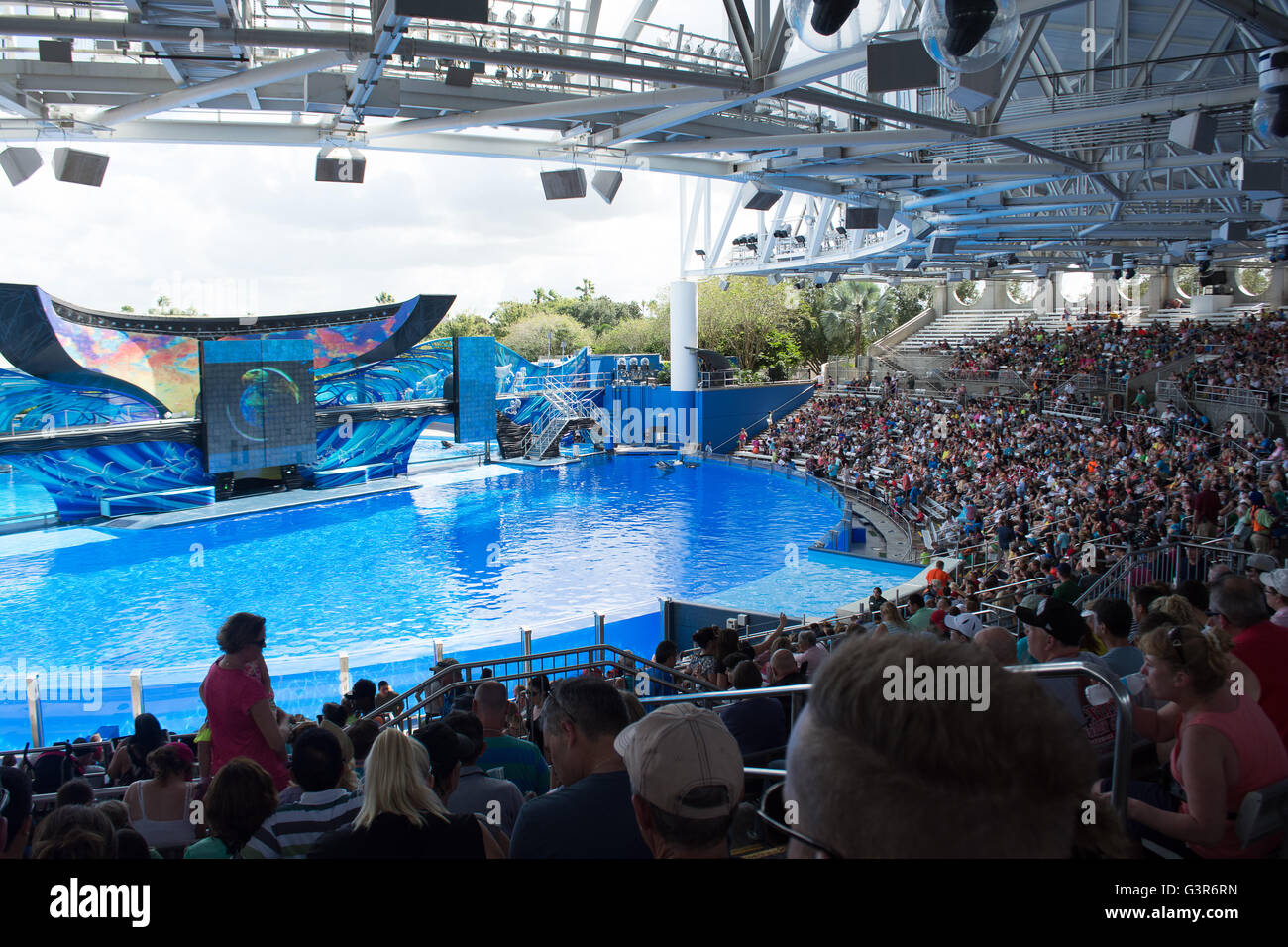 Sea world orlando florida Stock Photo - Alamy