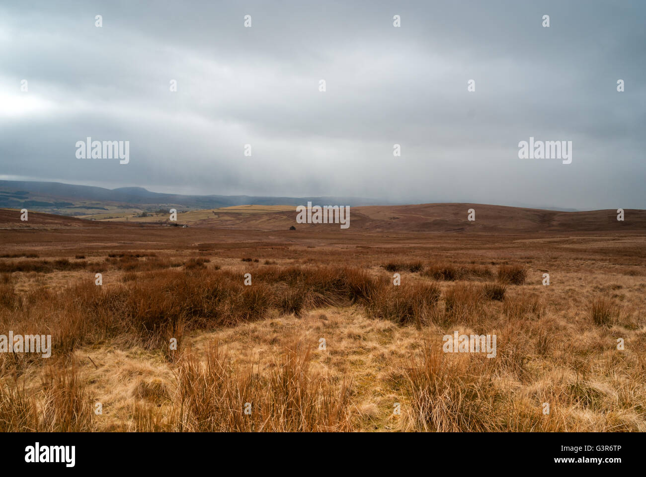 Denbigh Moors or Mynydd Hiraethog an upland area in Conwy and ...