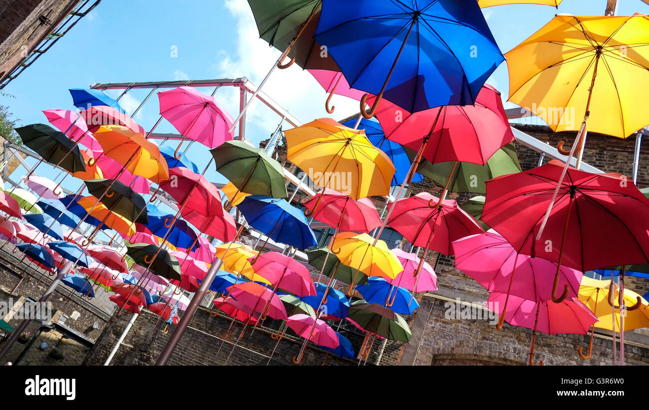 Bright coloured umbrellas store