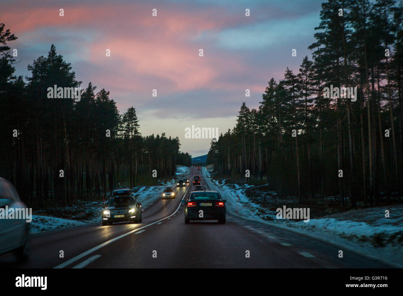 Car night forest hi-res stock photography and images - Alamy