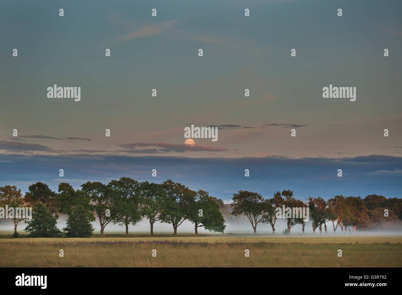 In plain view hi-res stock photography and images - Alamy