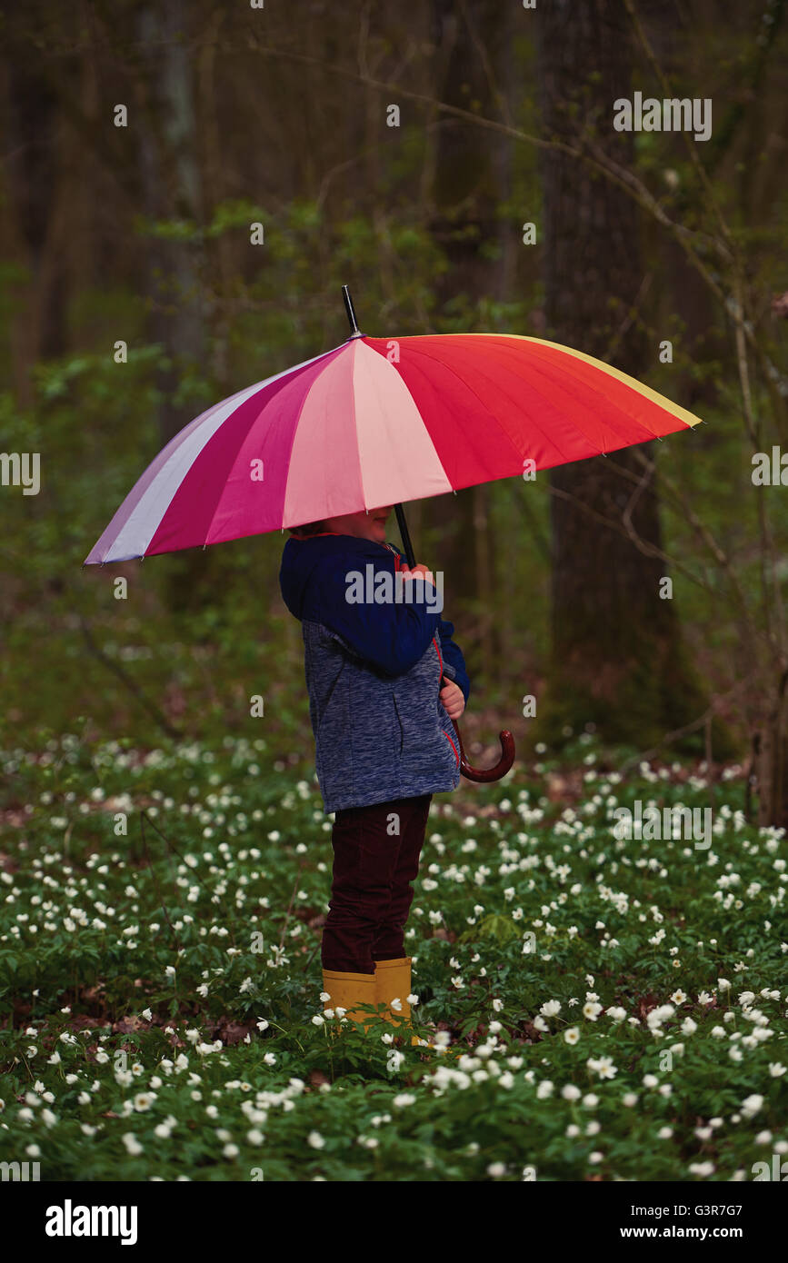little boy in spring forest with many flowers Stock Photo - Alamy