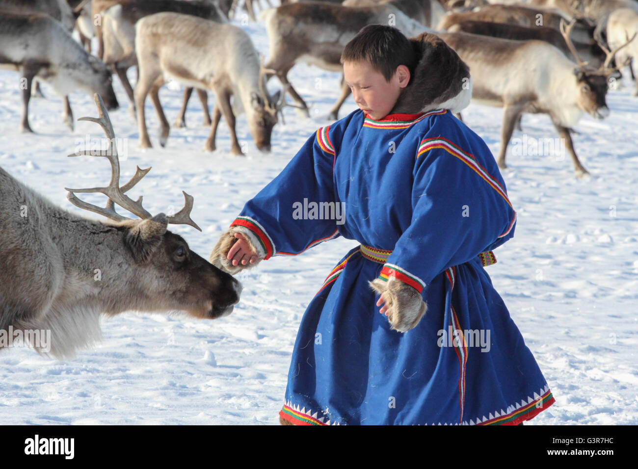 Nenets chum hi-res stock photography and images - Alamy