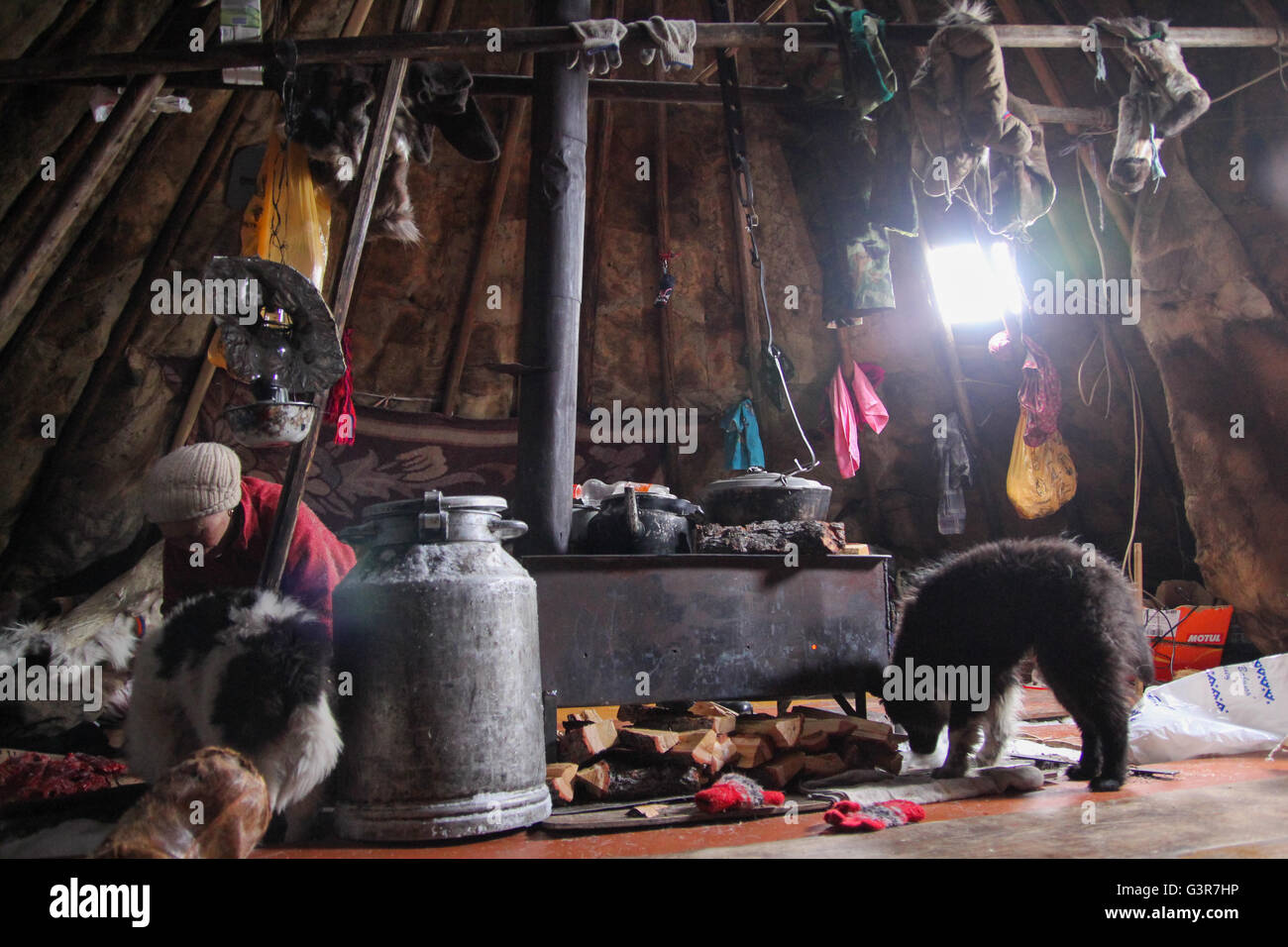 Inside chum-traditional dwellings of Nenets reindeer breeders. The ...
