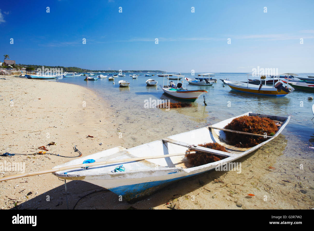 Boats with seaweed on beach, Nusa Lembongan, Bali, Indonesia Stock ...