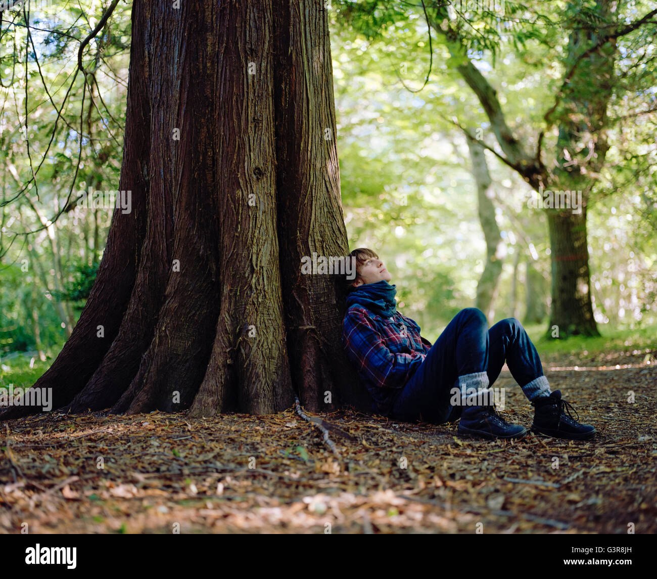 People sitting under the tree hi-res stock photography and images - Alamy