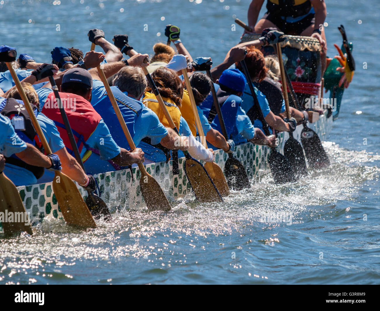 Image of paddlers during one race at the Portland Dragon Boat Races ...
