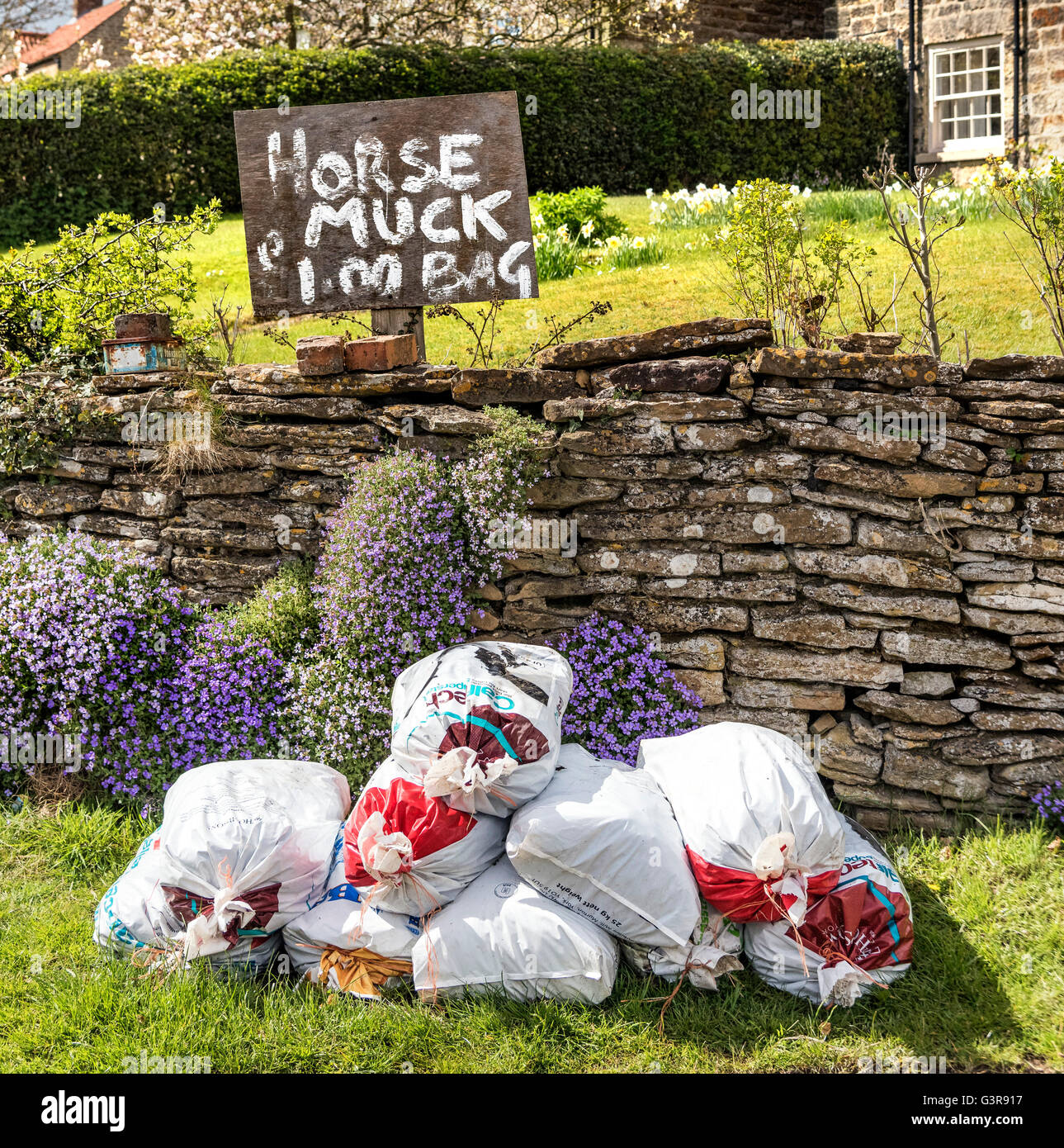 An amusing advert in Terrington village Stock Photo - Alamy