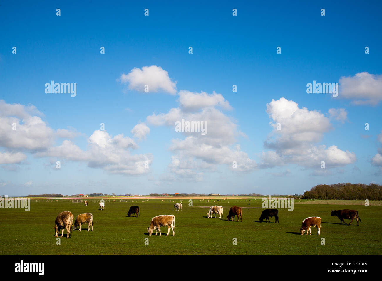 Holland island hi-res stock photography and images - Alamy