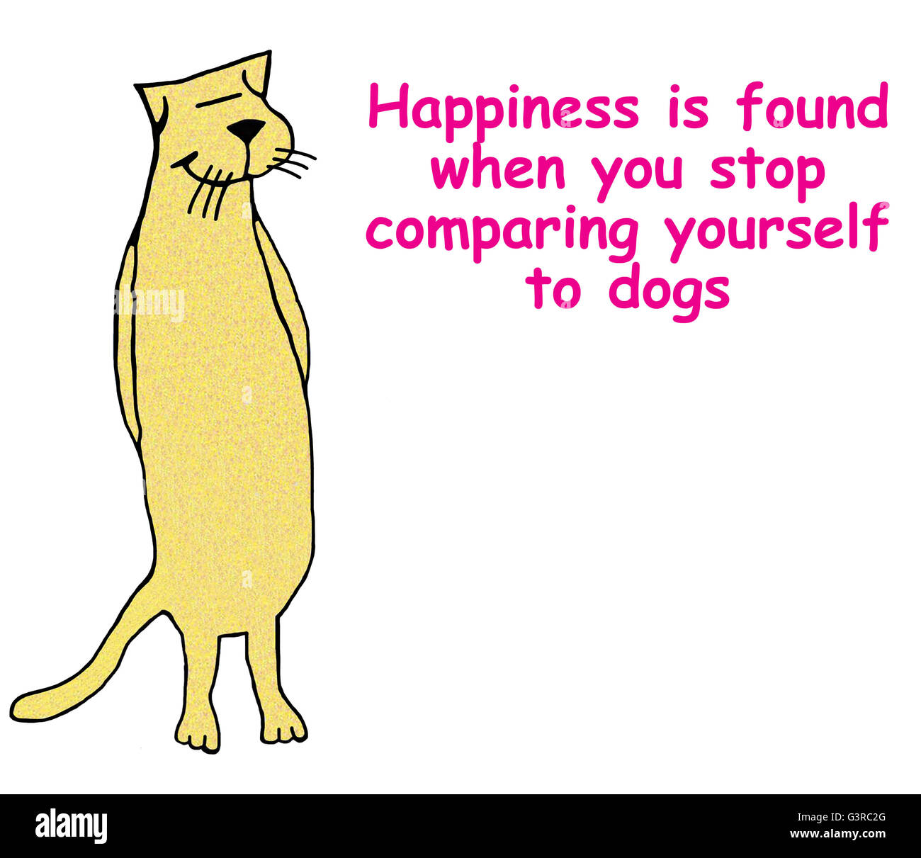 Self confidence and cat hi-res stock photography and images - Alamy