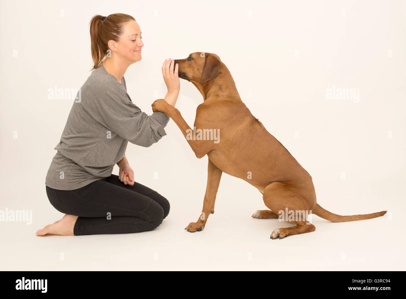 How Do Dogs Show Affection Towards Each Other