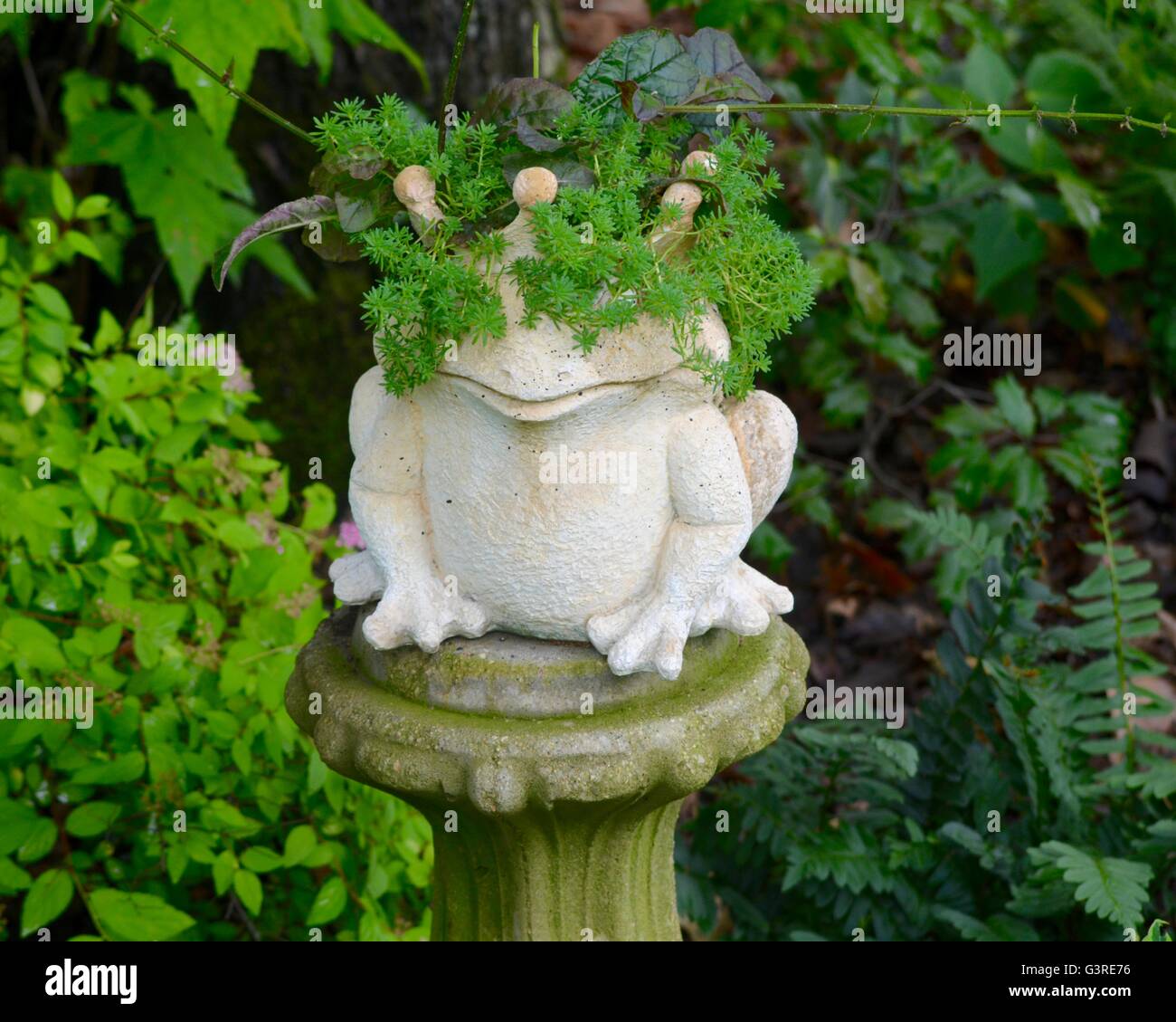 ornamental frog planter on pedestal , yard art Stock Photo - Alamy