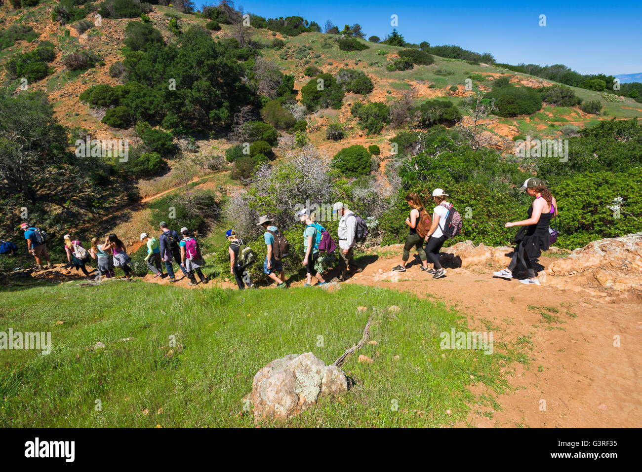 Large group of hikers on the Pelican Bay trail, Santa Cruz Island ...