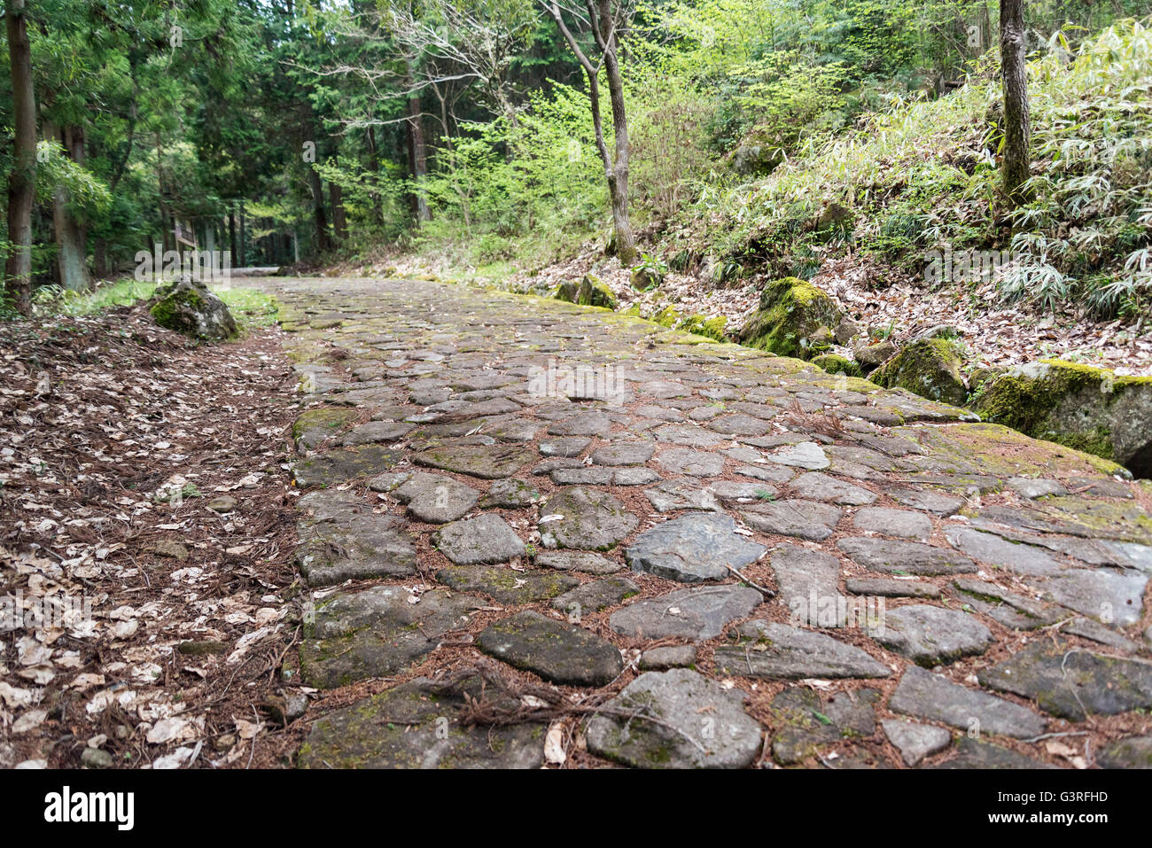 Ochiai Stone Paving, Kiso Valley, Japan Stock Photo - Alamy