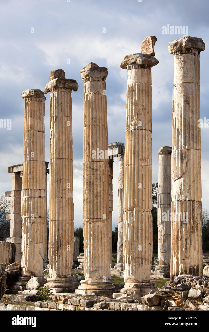 Tall ancient greek columns hi-res stock photography and images - Alamy