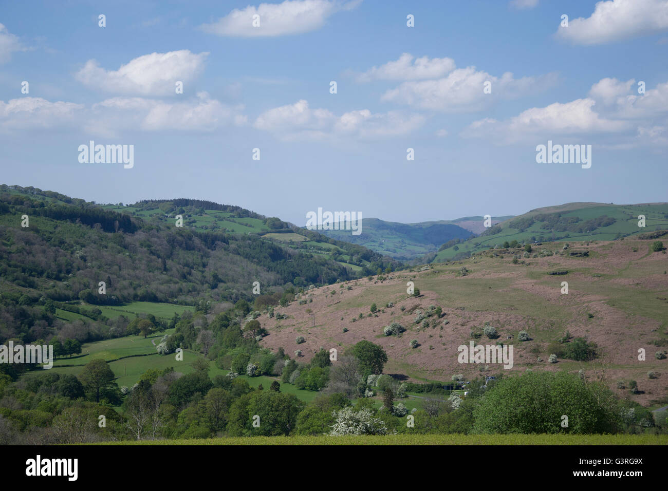 The Wye valley near Erwood, Powys, Mid-Wales Stock Photo - Alamy