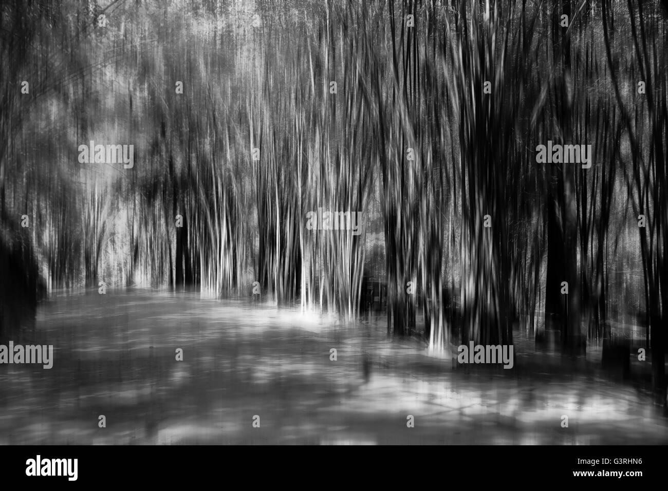 blurred motion forest background Stock Photo - Alamy