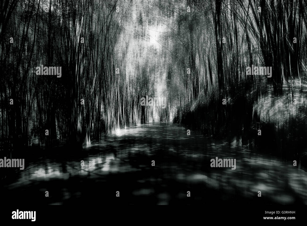 blurred motion forest background Stock Photo - Alamy