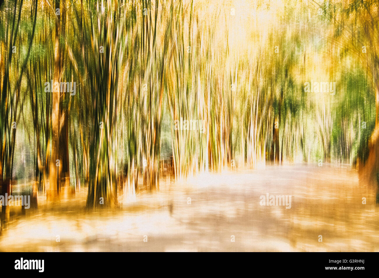 blurred motion forest background Stock Photo - Alamy