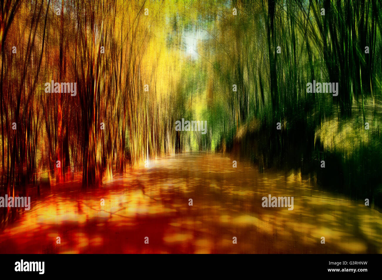 blurred motion forest background Stock Photo - Alamy