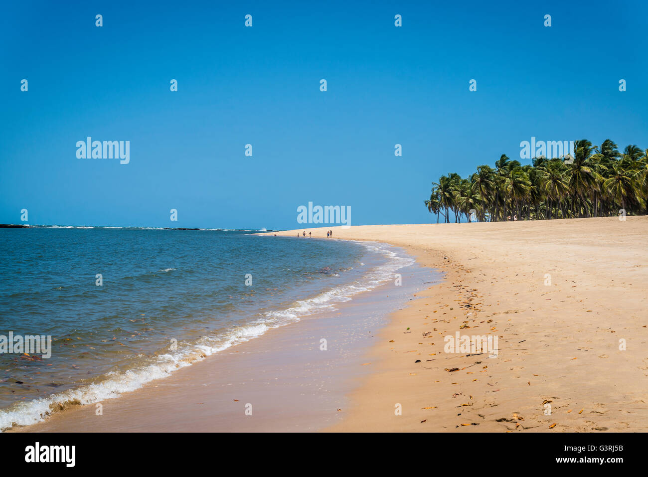 Gunga Beach, Maceio, Alagoas, Brazil Stock Photo - Alamy