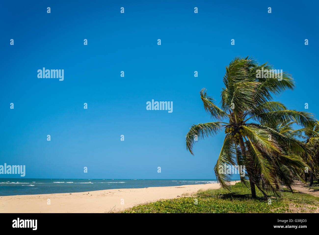 Gunga Stock Photos & Gunga Stock Images - Alamy