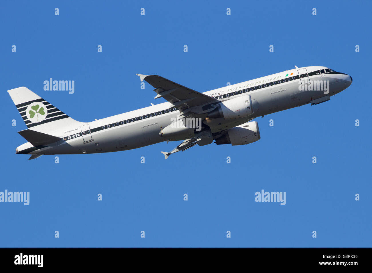 Aer Lingus Airbus A318 take-off from Schiphol airport Stock Photo - Alamy