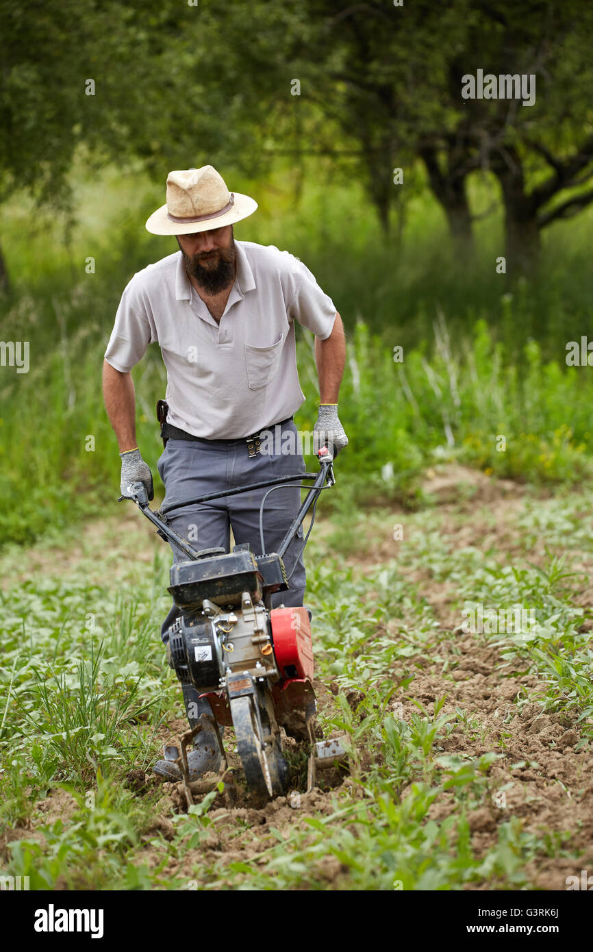 Farmer weeding hi-res stock photography and images - Alamy