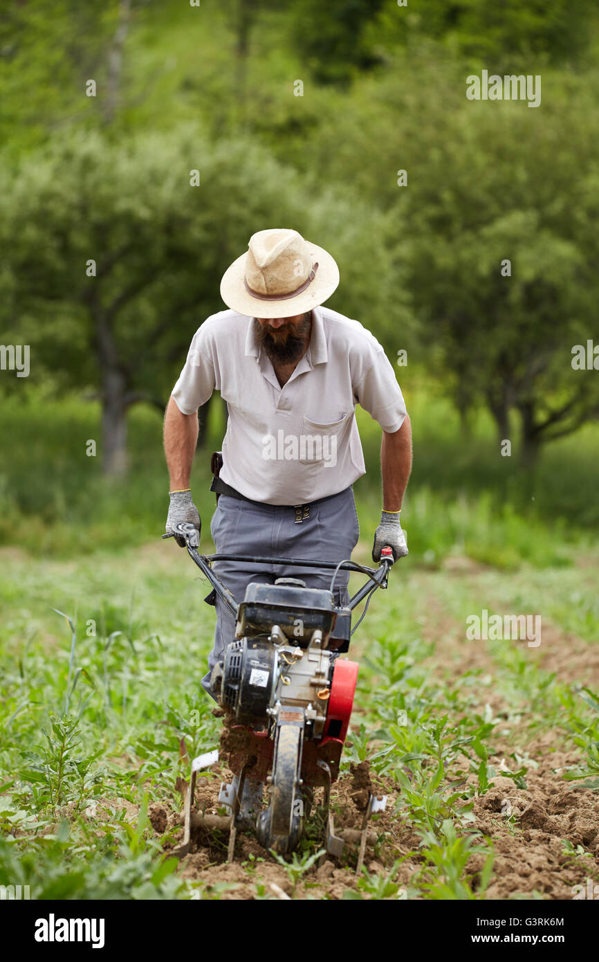Farmer weeding hi-res stock photography and images - Alamy