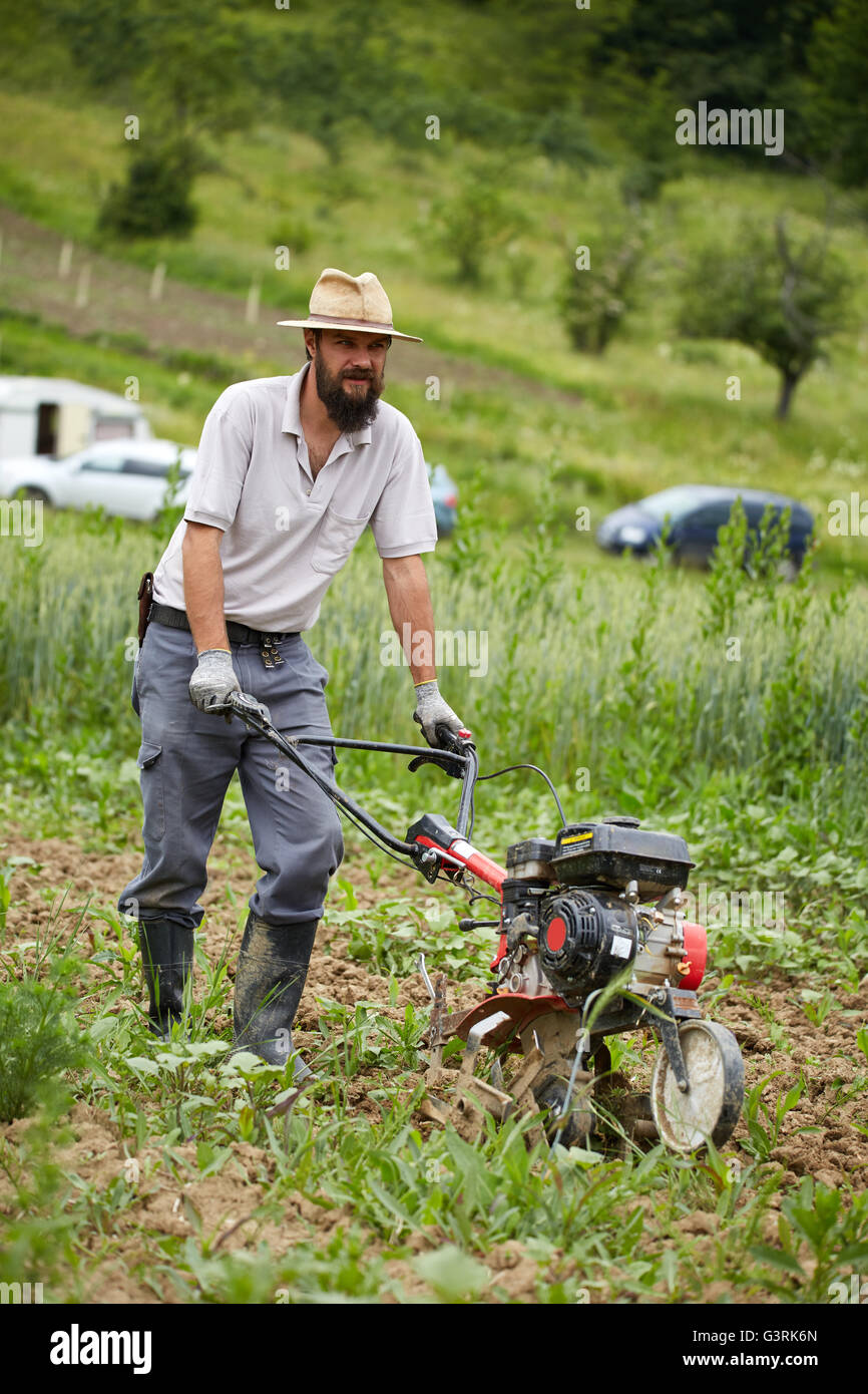 Young farmer weeding in a corn field with a motorized tiller Stock ...