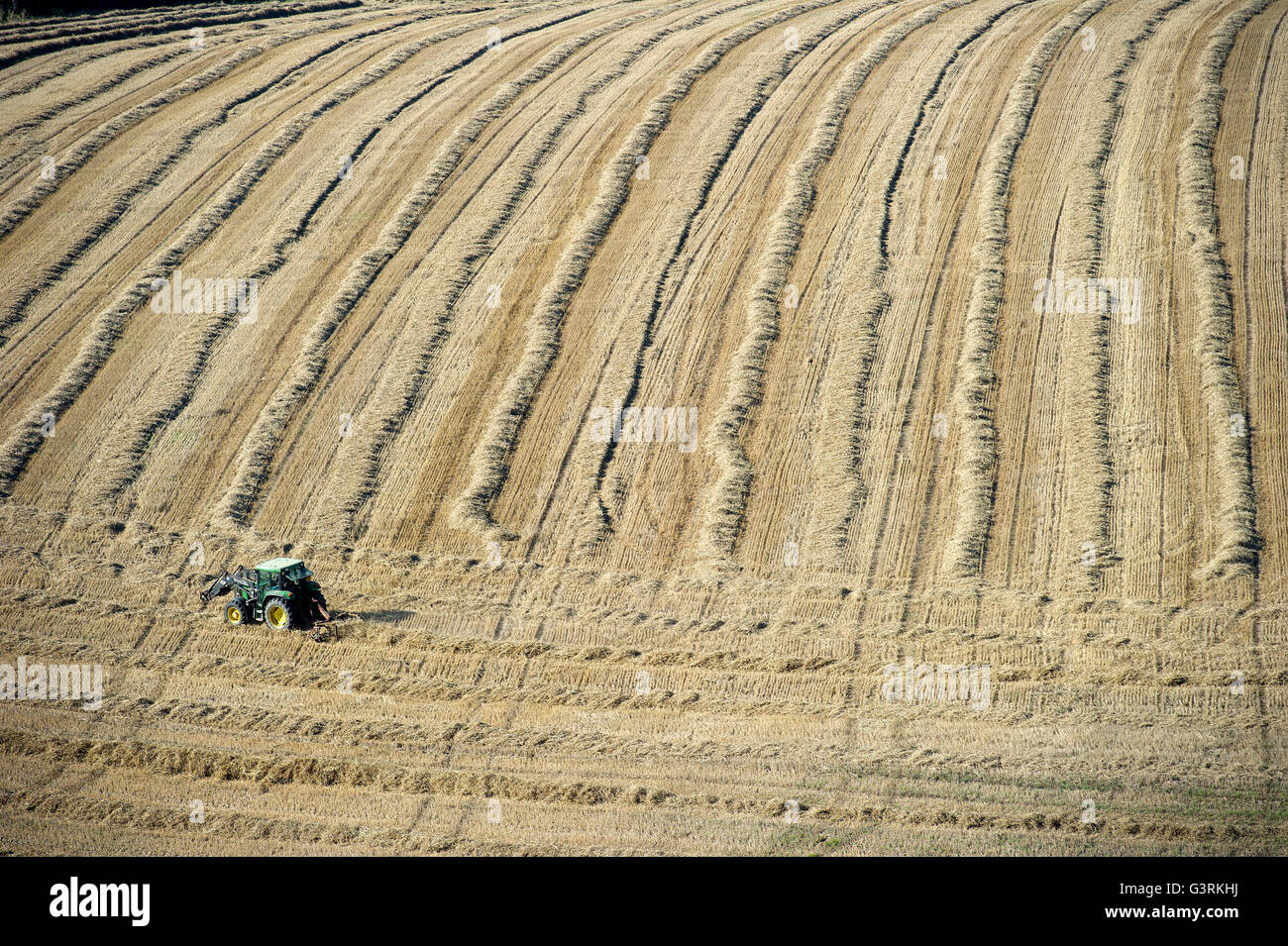 Racking hay hi-res stock photography and images - Alamy
