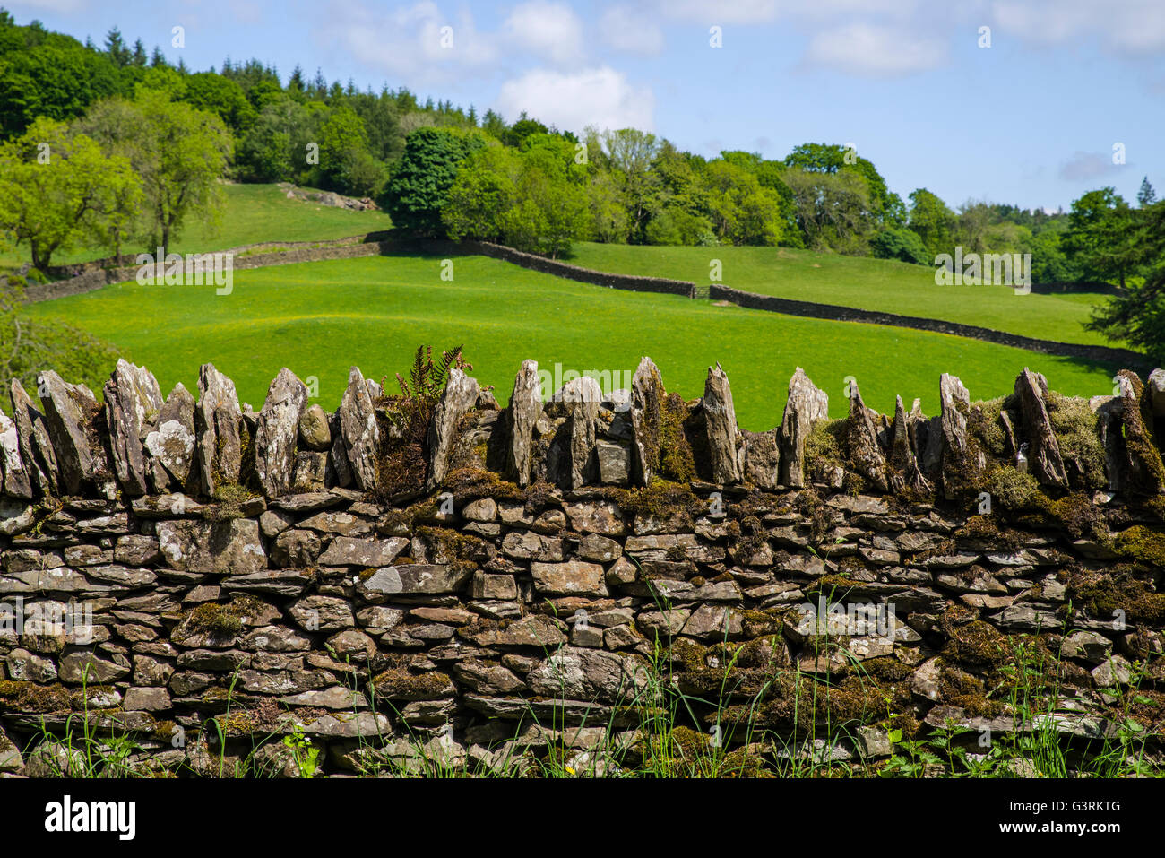 A view of the Cumbrian countryside in the UK Stock Photo - Alamy
