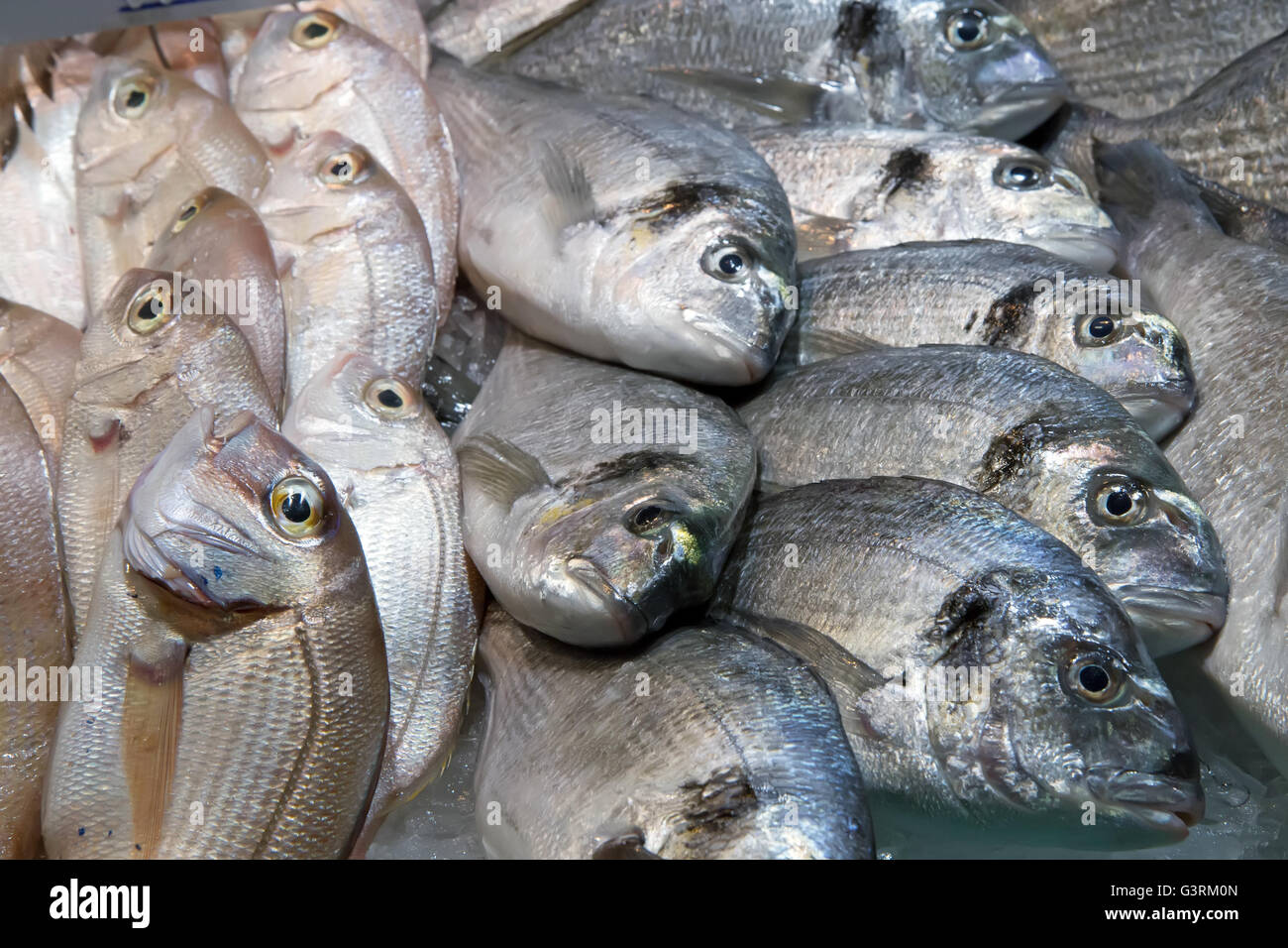 Empty fish market on hi-res stock photography and images - Alamy